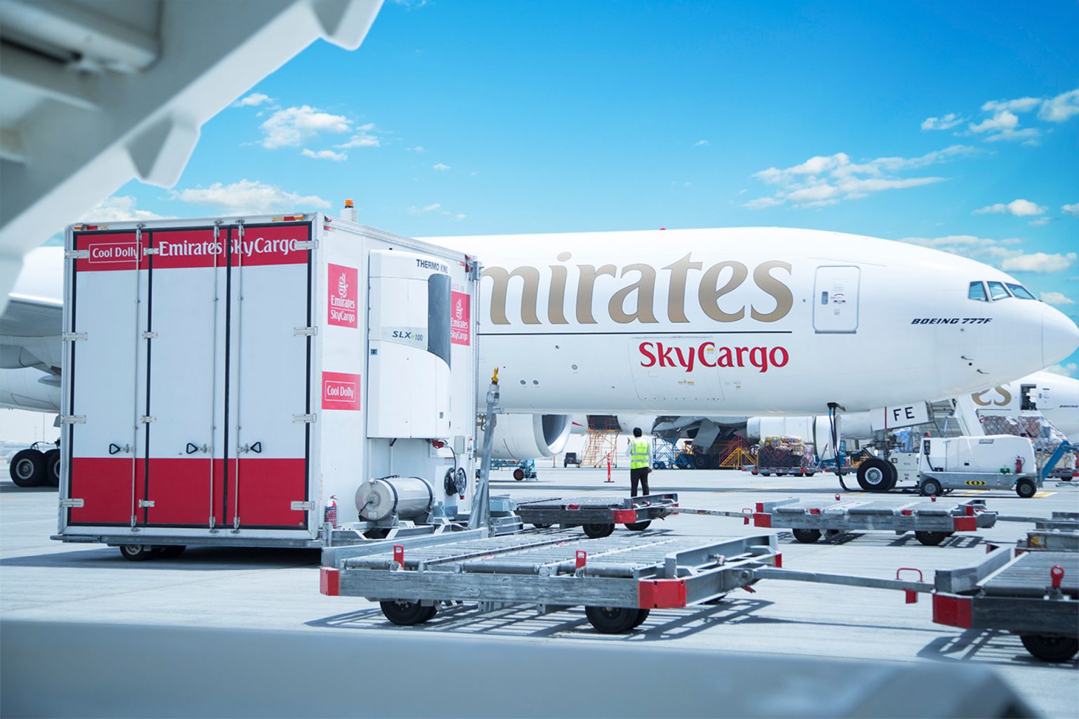 Emirates SkyCargo opens "mini-cargo" charter flights on the airplanes ...